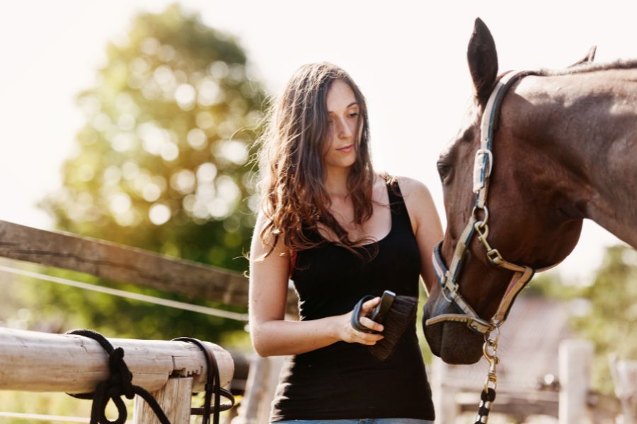 10 Consejos y Trucos para el Cuidado de los Caballos