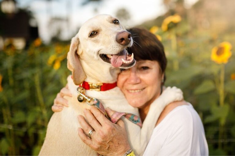 ¿Cómo Cuidar a tu Perro? 10 Buenos Consejos