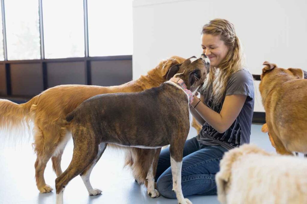 Razas Raras De Perros Grandes